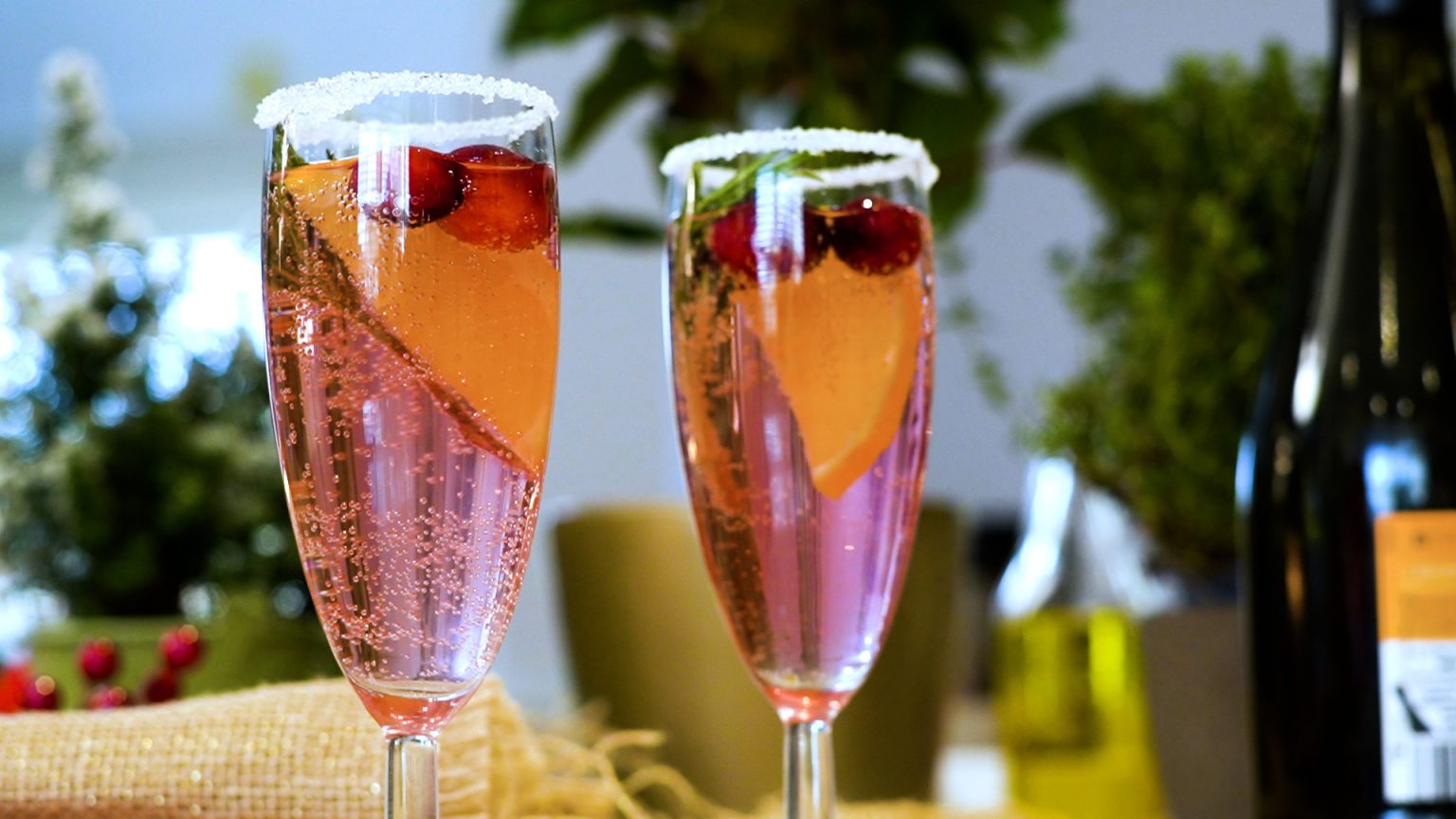 Cranberry Fizz Cocktail - Recipe.tv